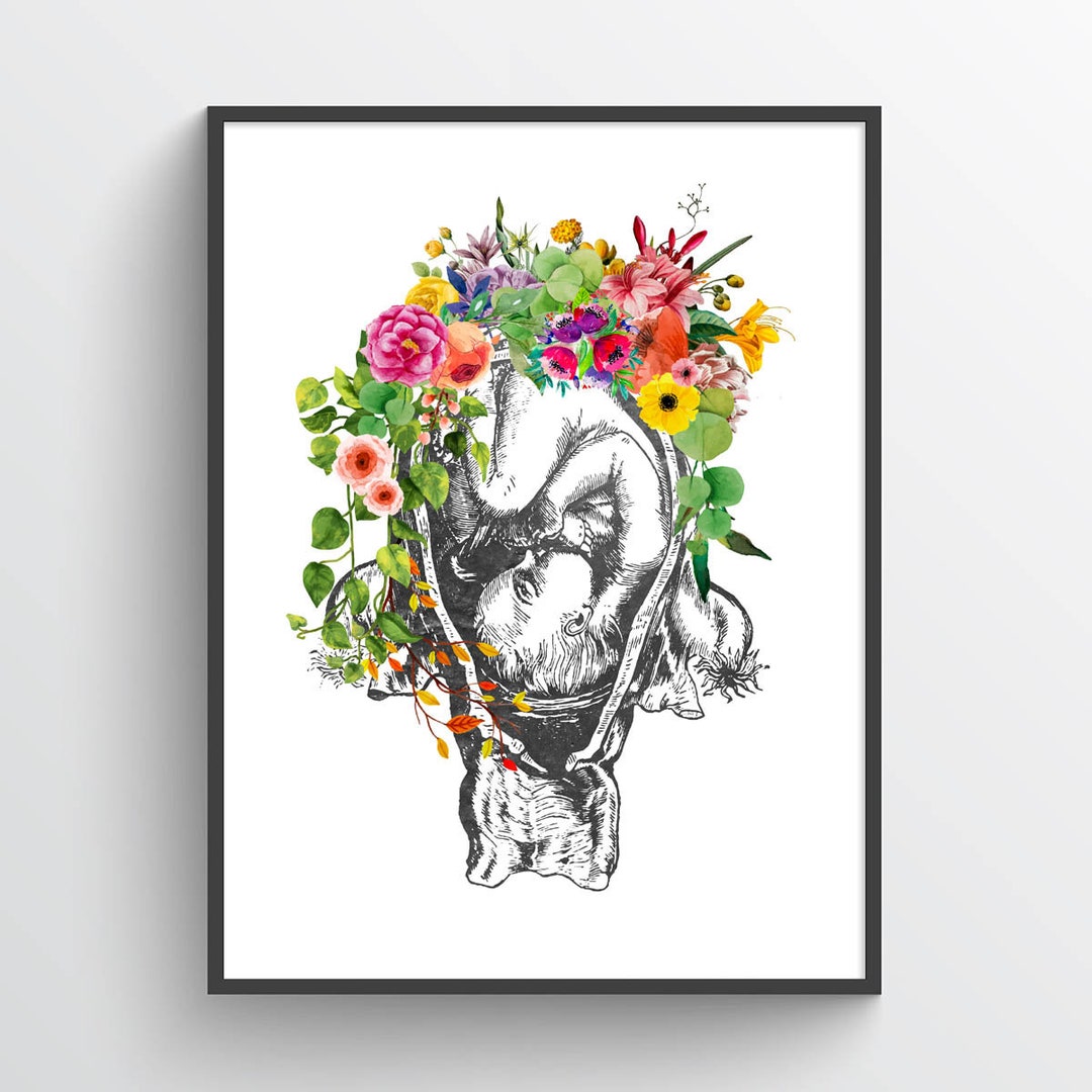 Fetus in Womb Flower Anatomy Print, Obstetrician Graduation Gift Idea ...