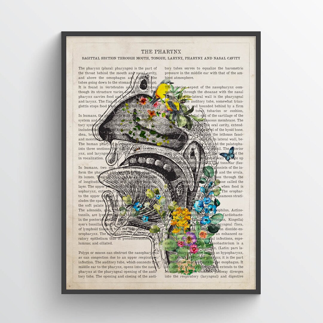 Pharynx Anatomy Flower Print, Tongue, Larynx, Nasal Cavity, Respiratory ...