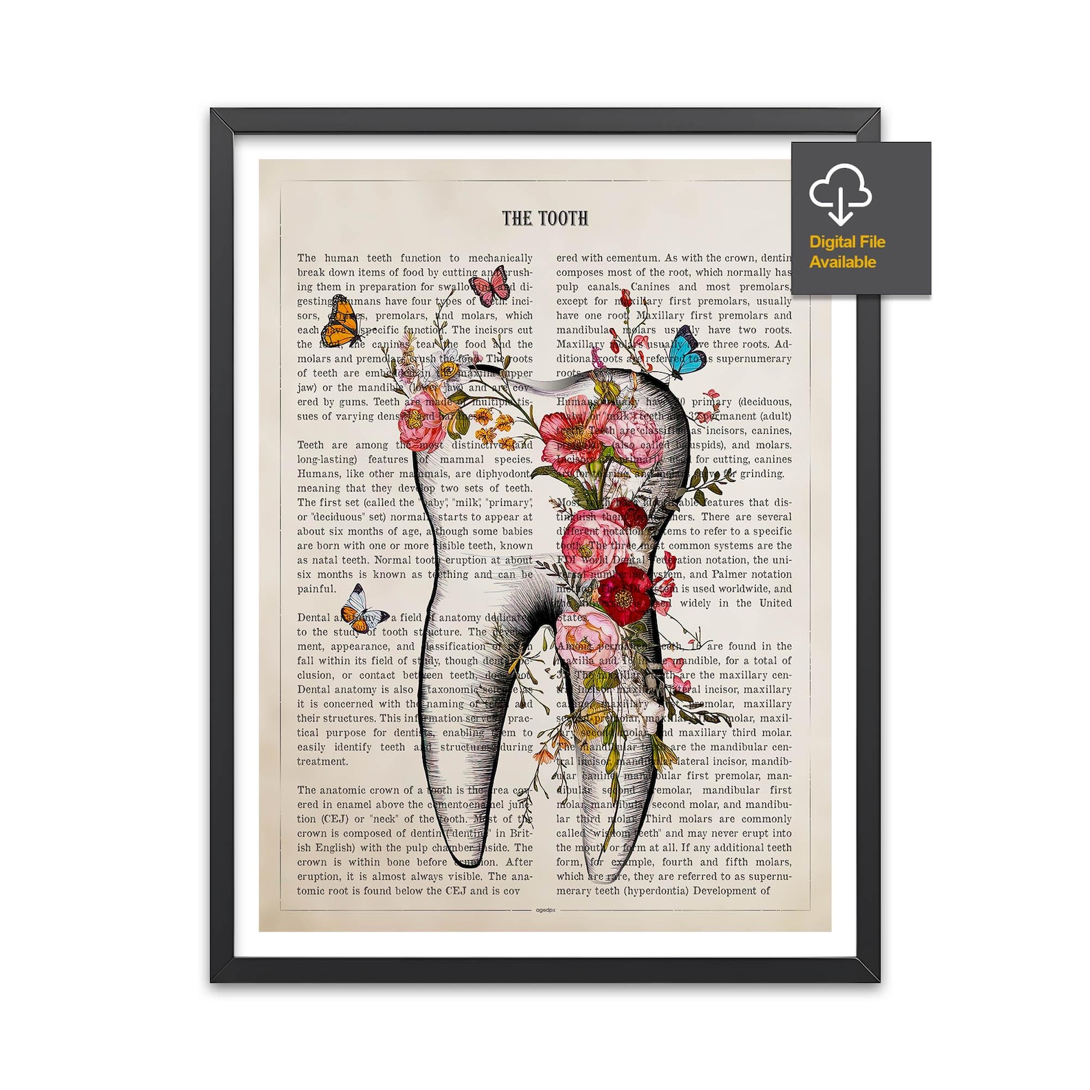 Tooth Anatomy With Flower Print, Dental Art, Gifts for Dentist Student ...
