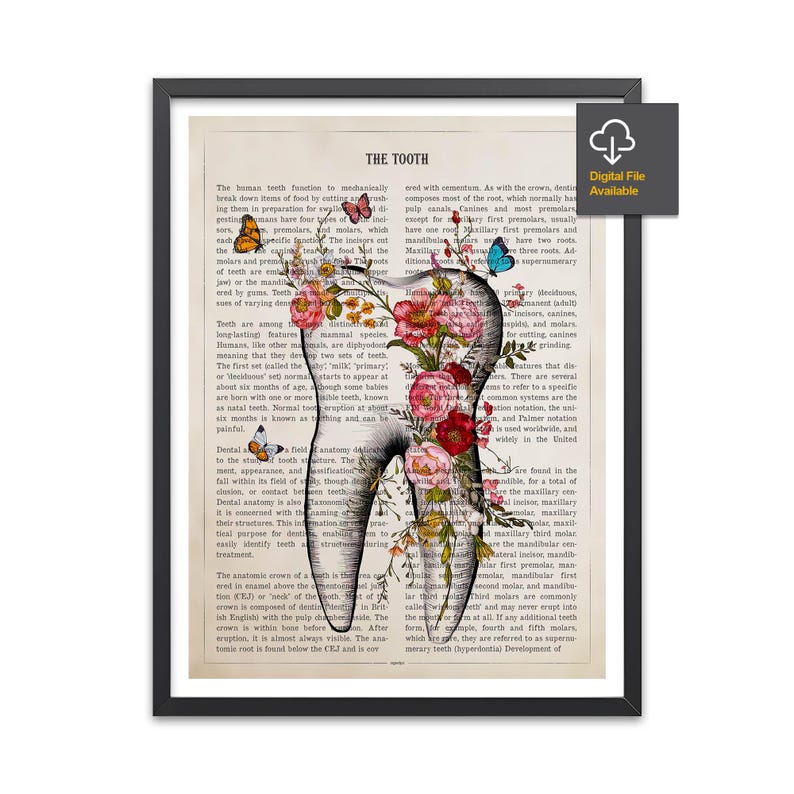 Tooth Anatomy With Flower Print, Dental Art, Gifts for Dentist Student ...