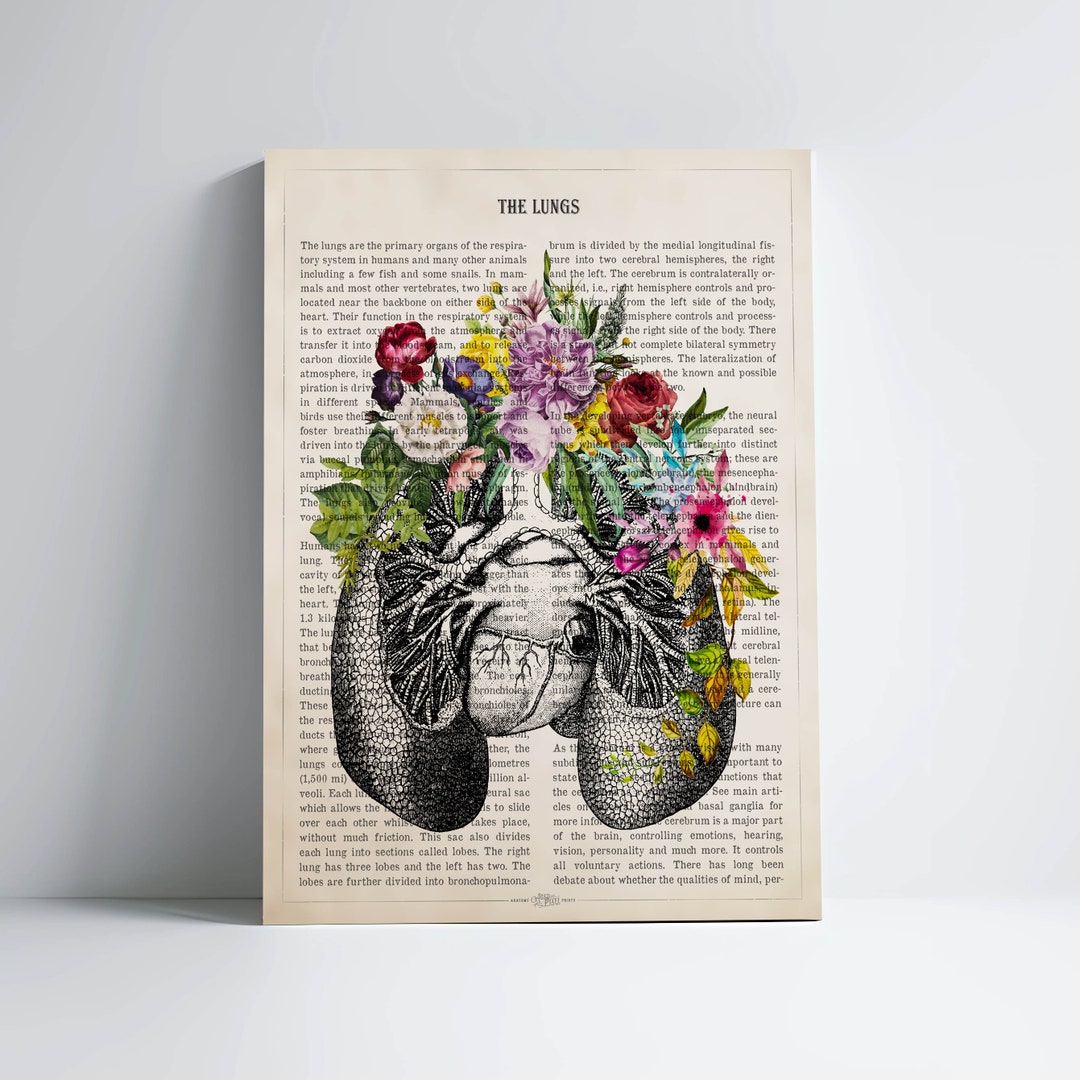 Lungs Flower Anatomy Print, Medical Poster, Respiratory Therapy Gift ...