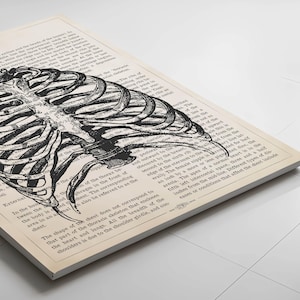 Thorax Anatomy Print, Radiology Gift, Medical Poster, Med School ...