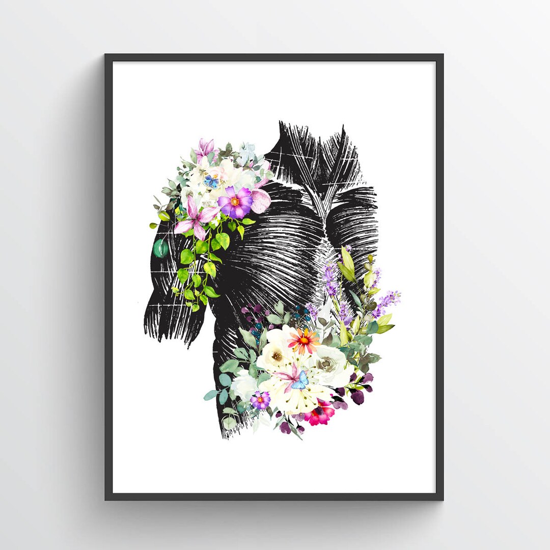 Muscles of the Trunk Anatomy Print Chiropractor Gift - Etsy