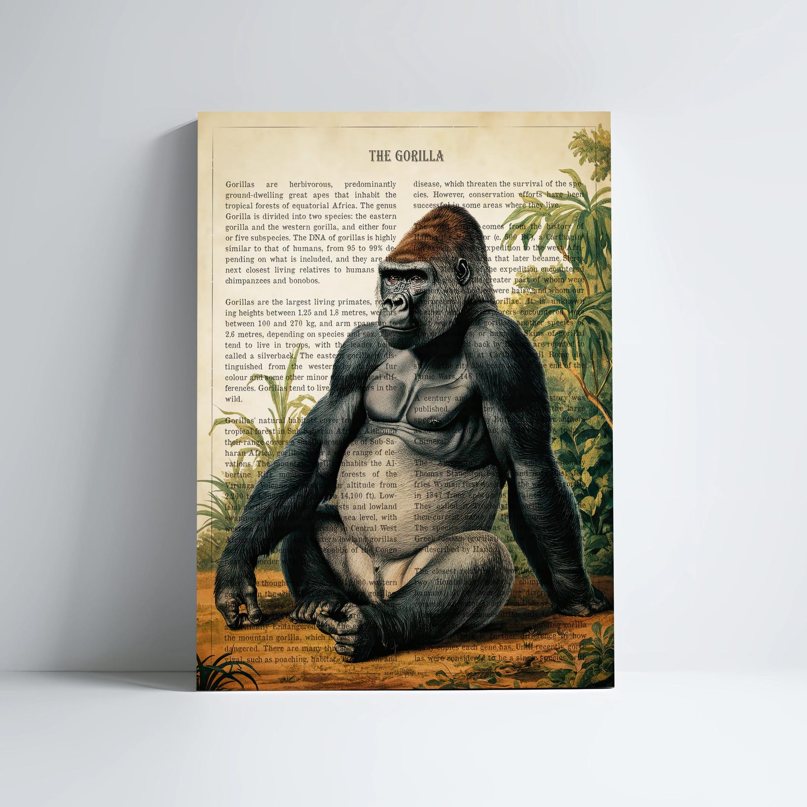 Gorilla Poster, Monkey Print, Safari Animals, Ape Art, Antique Natural ...