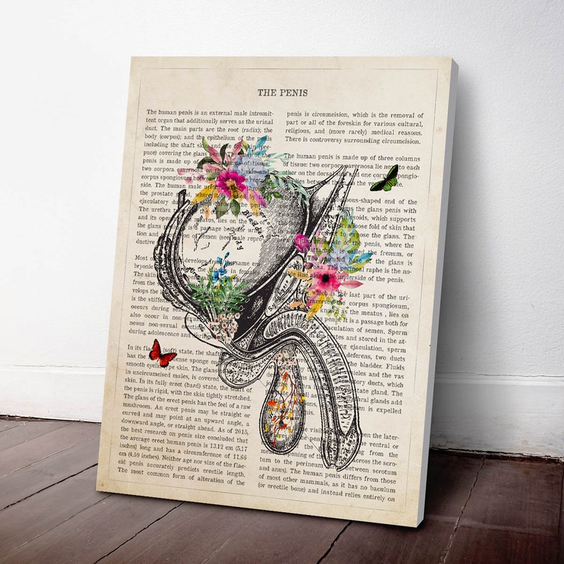 Penis Flower Anatomy Print Male Genital Art Andrologist - Etsy