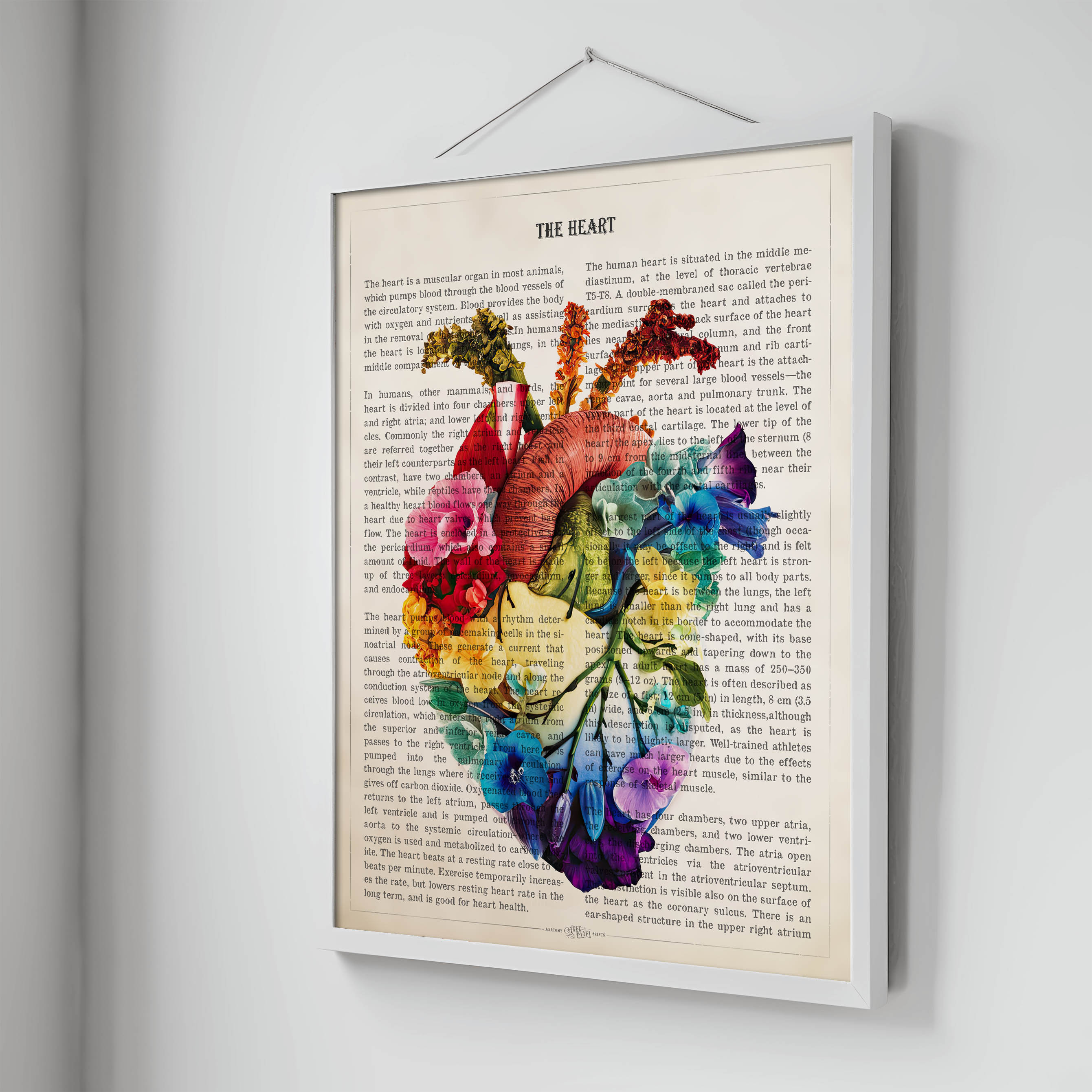 Heart Anatomy Print, Medical Poster, Cardiologist Gift Idea, Cardiology ...