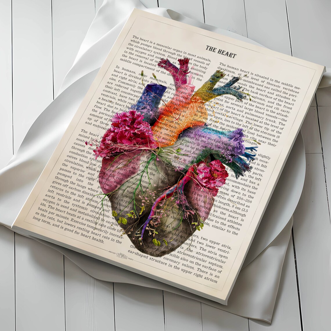 Heart Anatomy Print, Medical Poster, Cardiologist Gift Idea, Cardiology ...