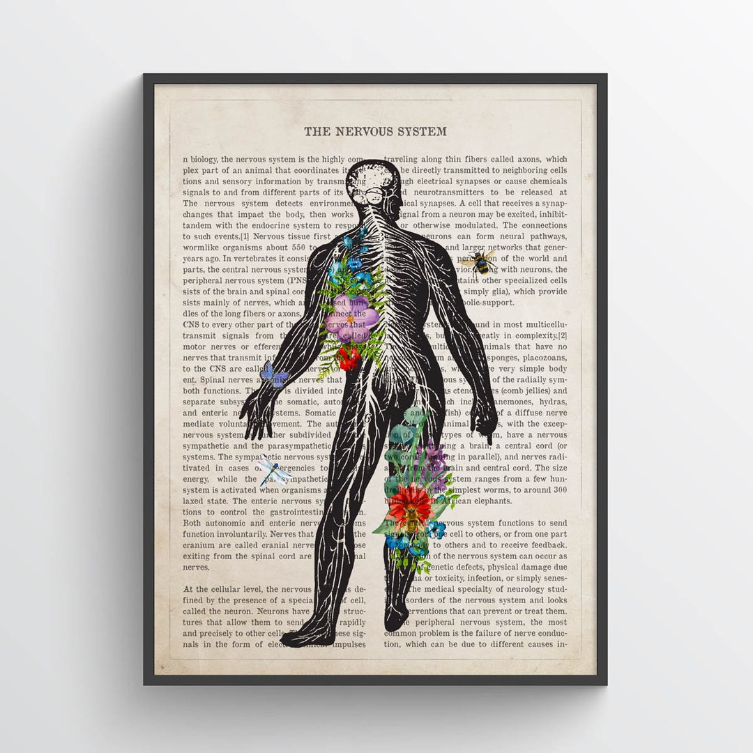 Nervous System Print, Nerve Anatomy Human Body Flower Art, Doctor ...