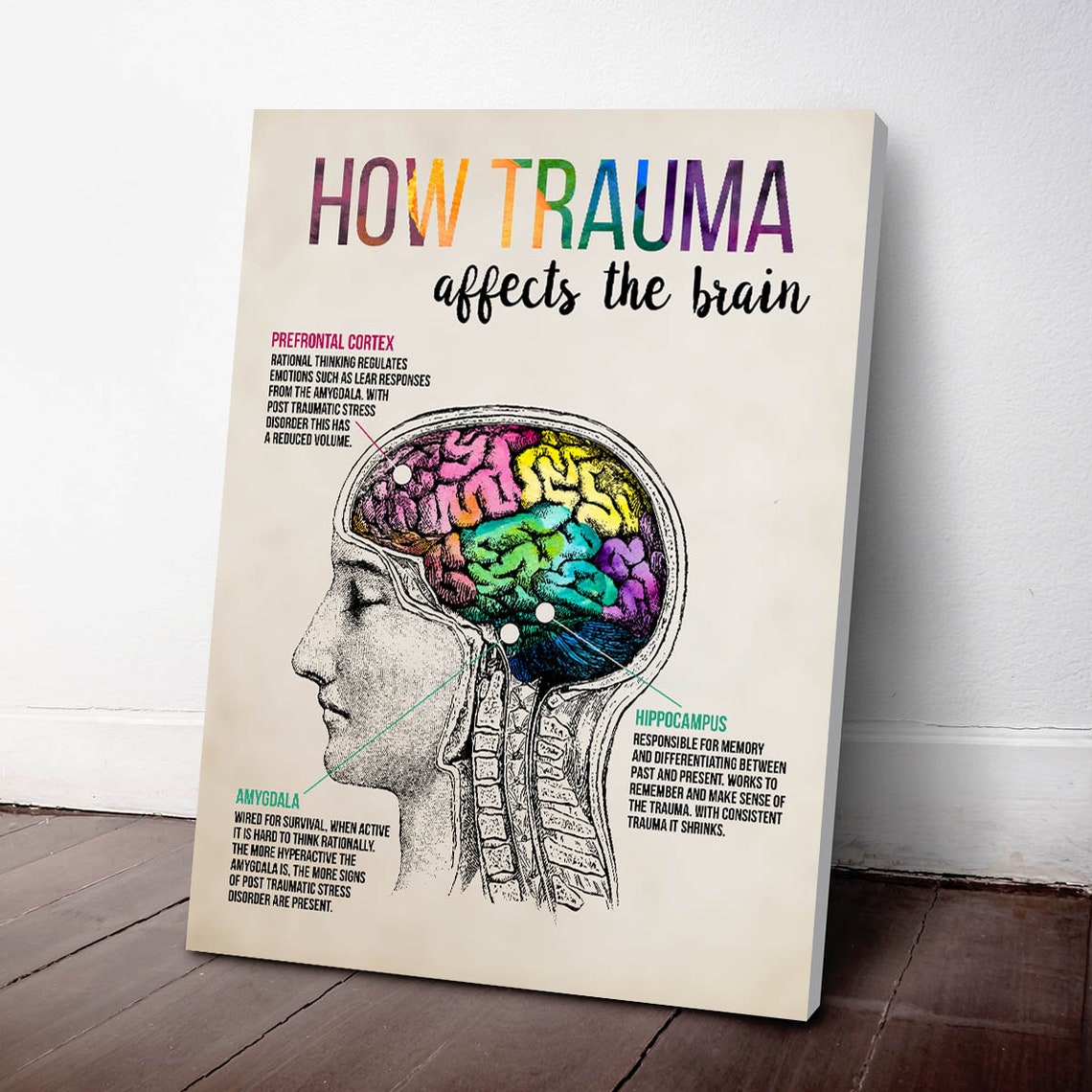 How Trauma Affects the Brain Print, Brain Anatomy, Psychology Poster ...