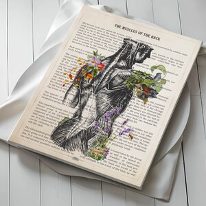 Muscles of the Back Anatomy Print, Chiropractor Gift, Licensed Massage ...