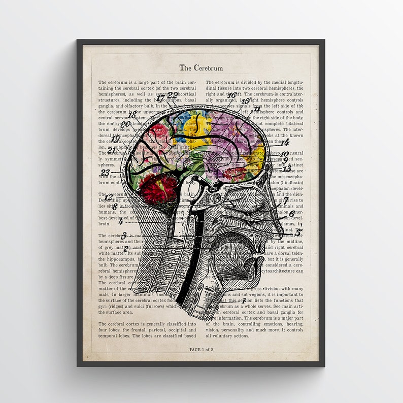 Brain Flower Collage Anatomy Print Psychology Neurologist - Etsy UK