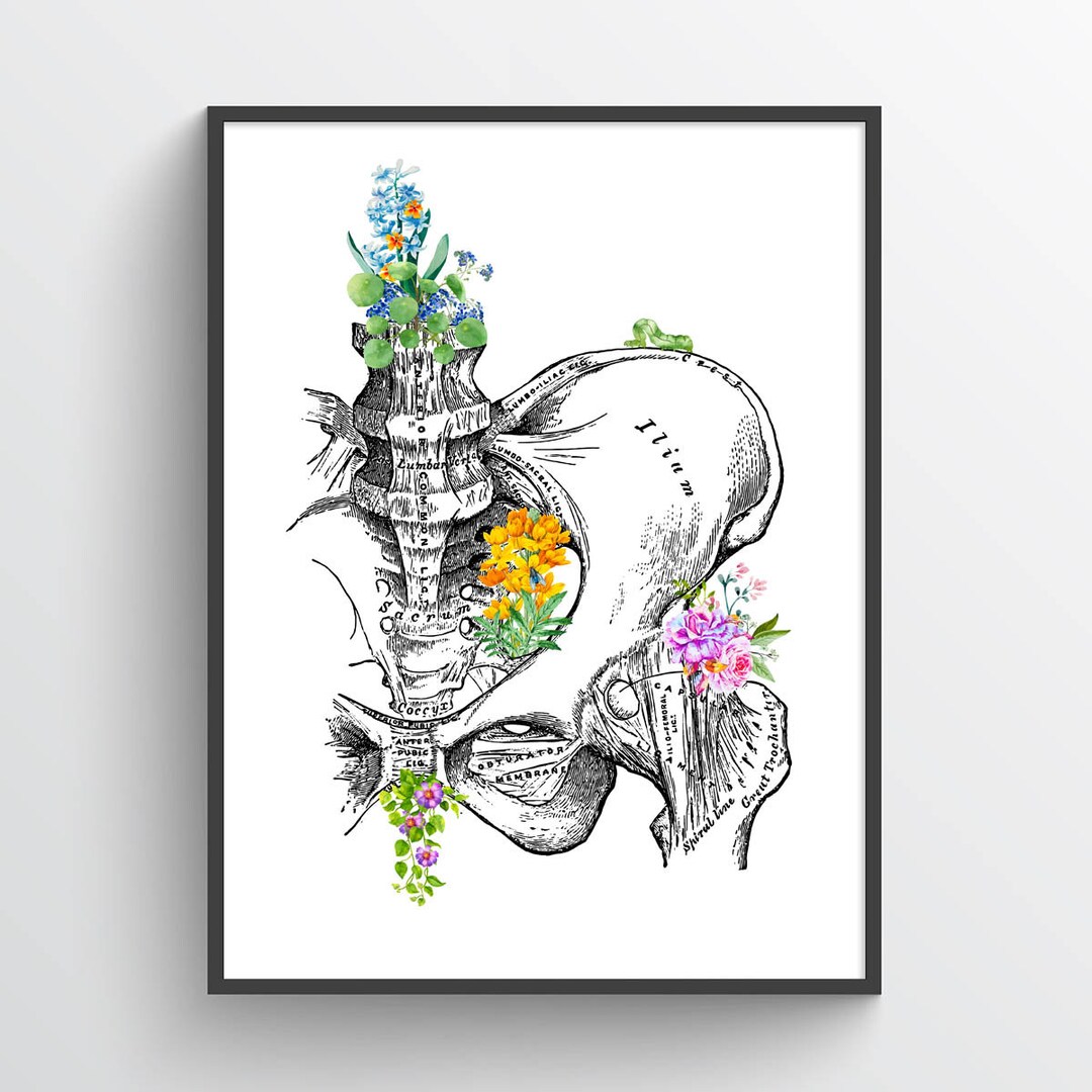 Pelvis and Hip Anatomy Flower Print, Physical Therapy Gift ...