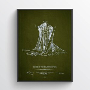 Muscles of the Neck Anatomy Print, Neck Muscles, Physical Therapy Art ...