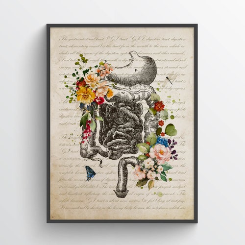 Digestive Tract Anatomy Print Intestine Digestive System - Etsy