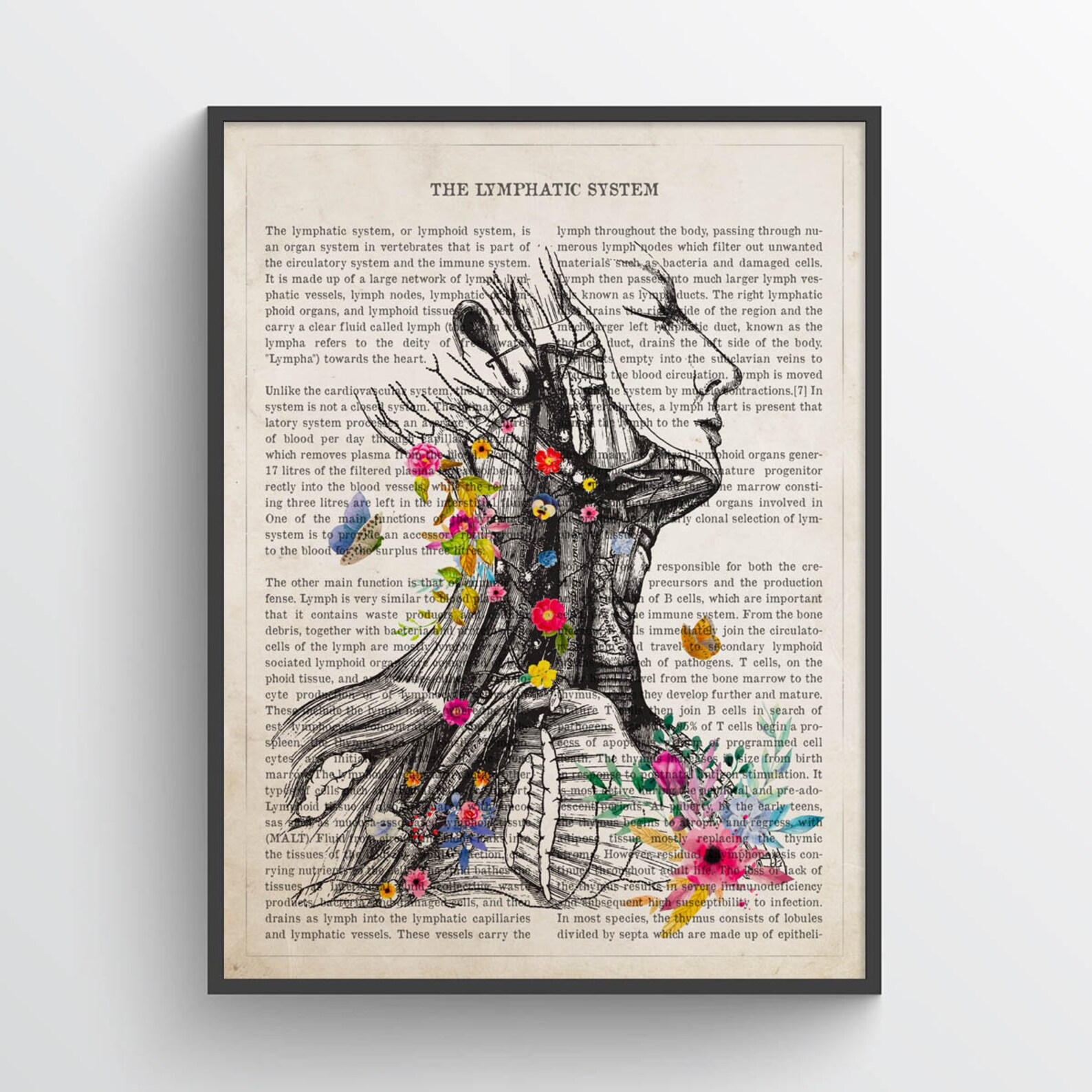 Lymphatic System Anatomy Print Endocrinology Print Lymph - Etsy