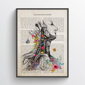 Lymphatic System Anatomy Print, Endocrinology Print, Lymph Nodes ...