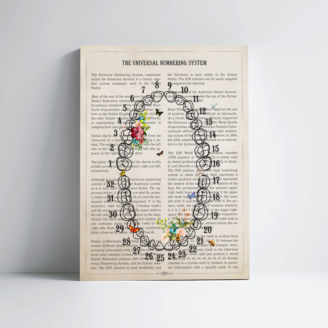 Universal Numbering System With Flower Print, Dental Art, Gifts for ...