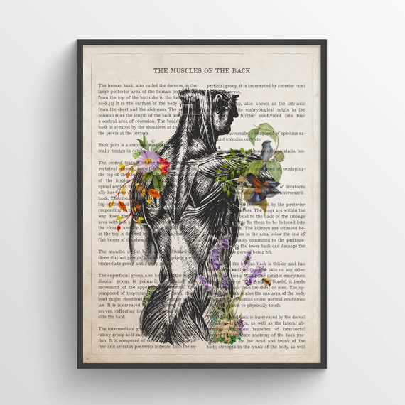 Muscles of the Back Anatomy Print Chiropractor Gift Licensed | Etsy