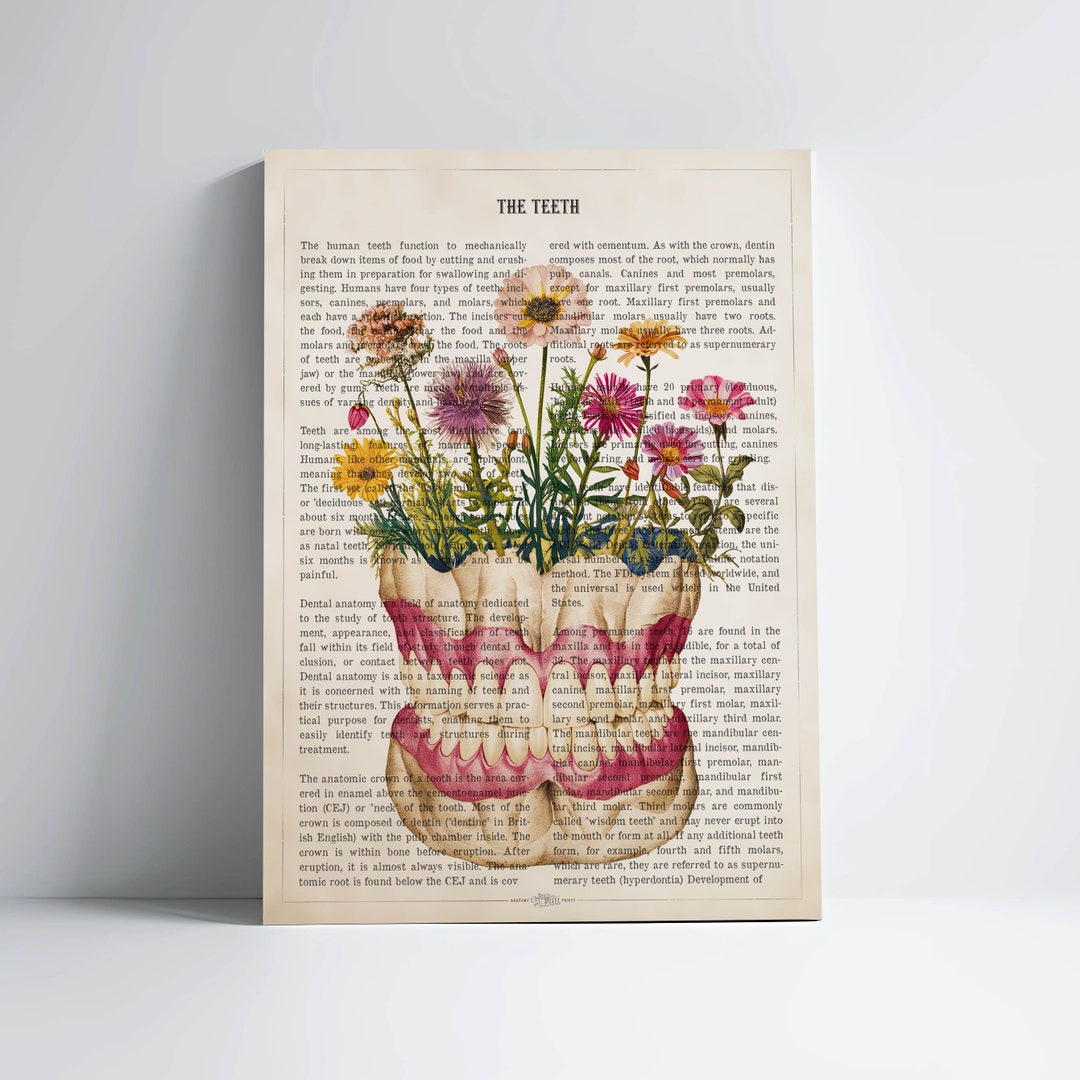 Teeth Anatomy With Flower Print, Dental Art, Gifts for Dentist Student ...