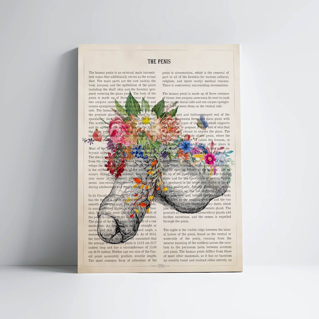 Penis Anatomy Flower Print, Andrologists Gift, Urologists Student ...