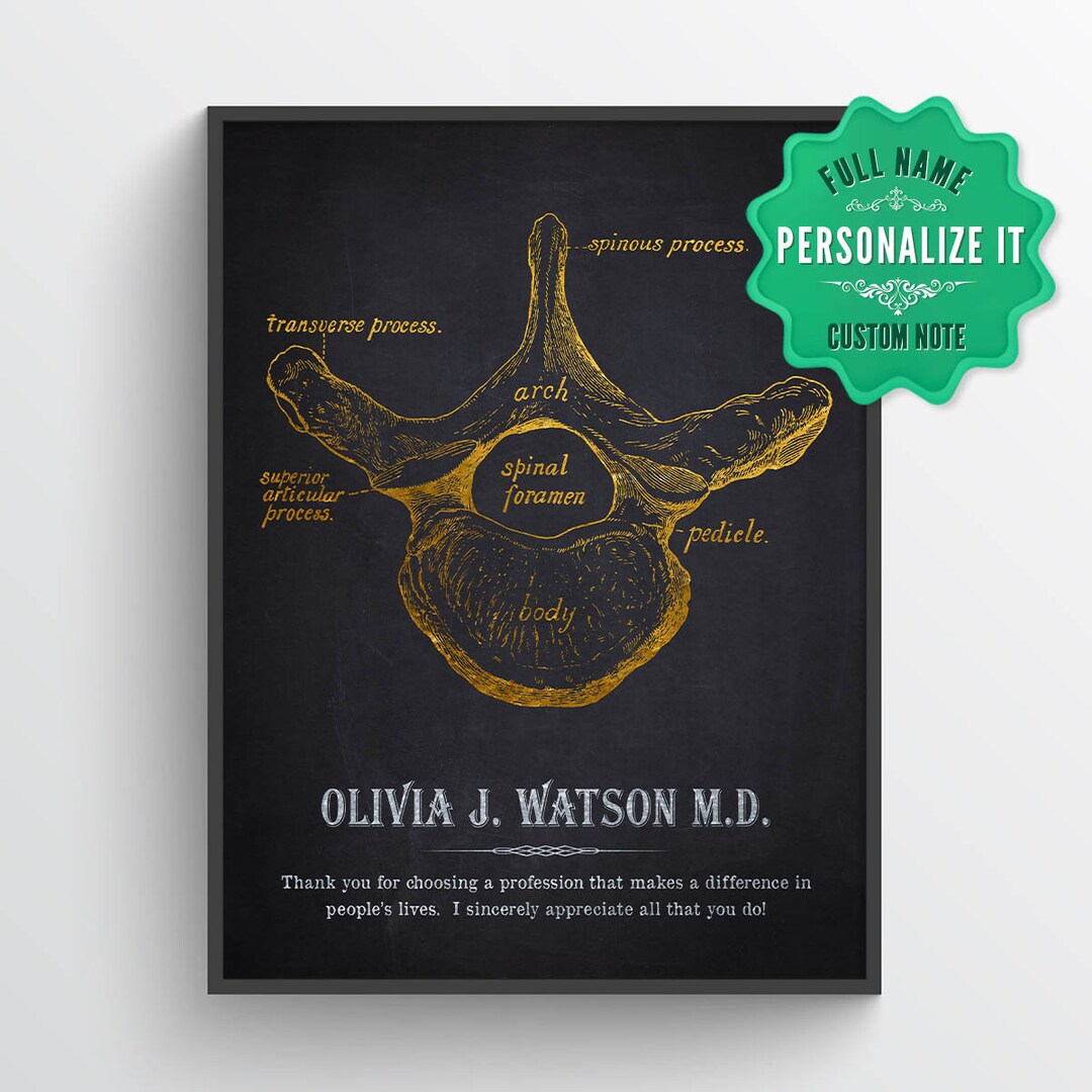 Personalized Spine Anatomy Print, Chiropractor Appreciation Gift, Thank ...