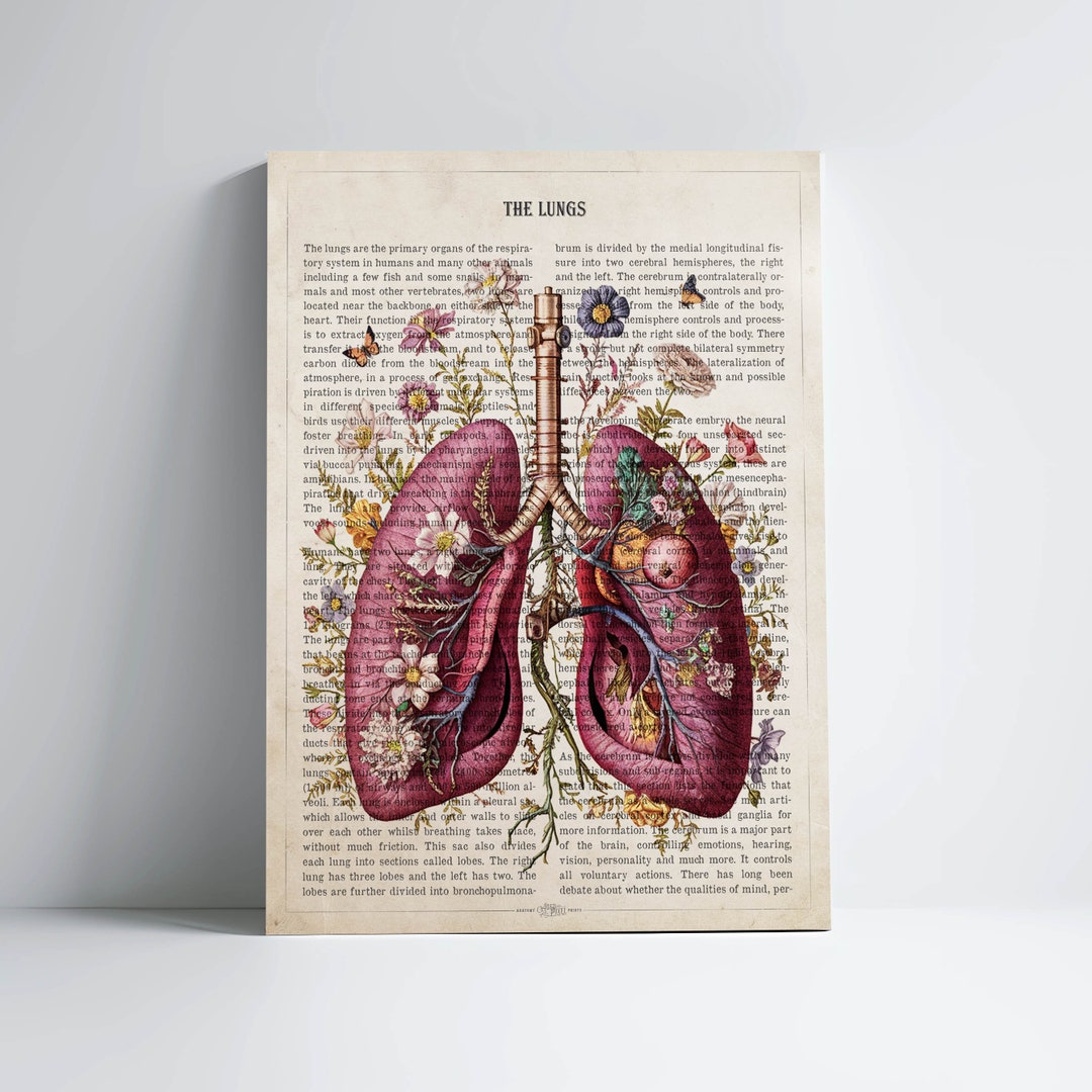 Lungs Flower Anatomy Print, Medical Poster, Respiratory Therapy Gift ...