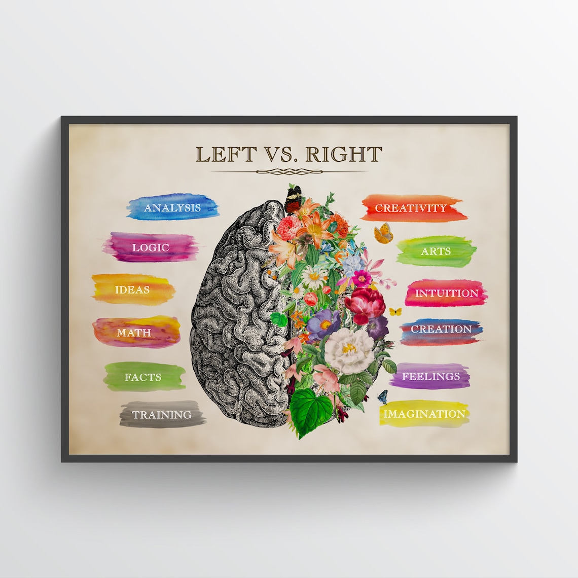 Left Versus Right Brain Function Anatomy Print, Psychology, Neurologist ...
