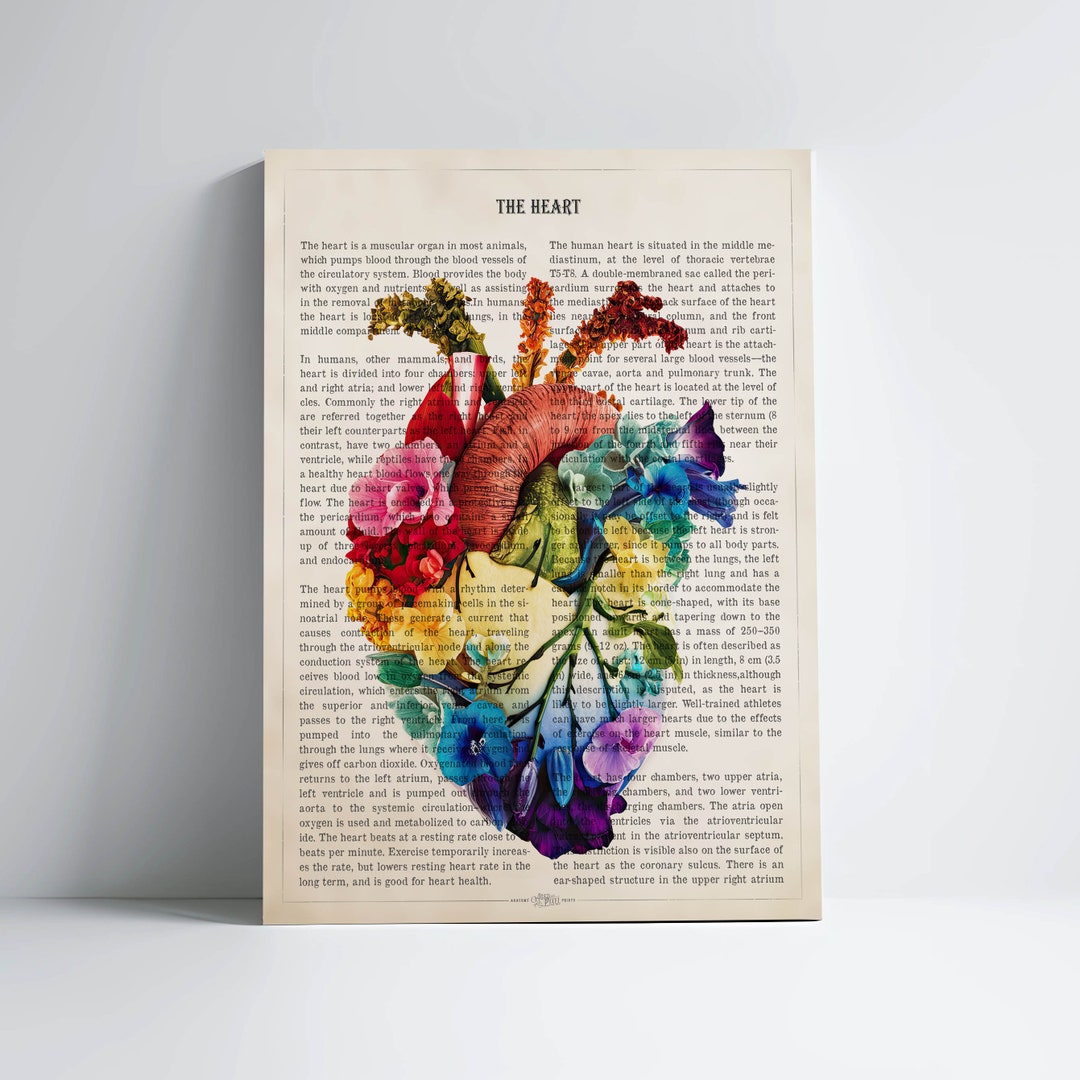 Heart Anatomy Print, Medical Poster, Cardiologist Gift Idea, Cardiology ...