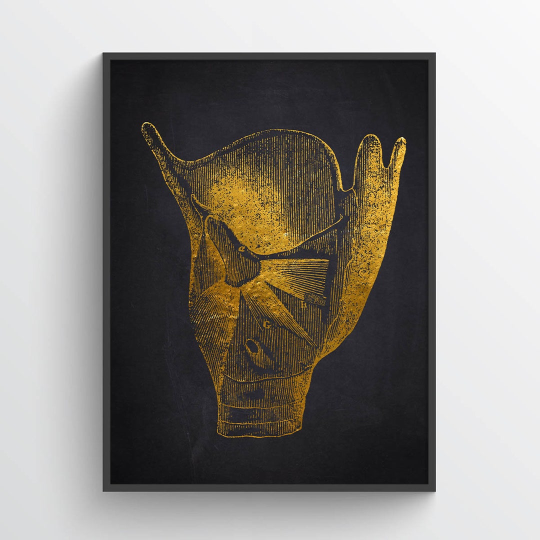 Larynx Anatomy Print, Speech Language Pathologist Gift, Office Decor ...