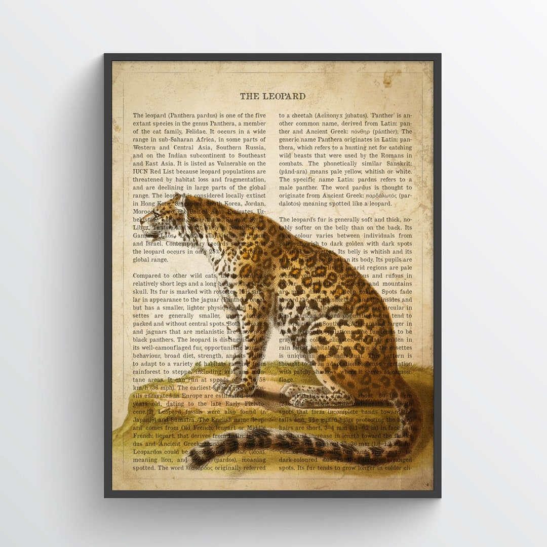 Vintage Leopard Print, Safari Painting, Panther Illustration, Leopard ...