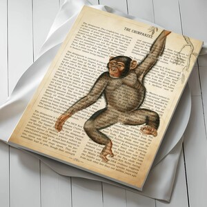 Chimpanzee Print, Cute Monkey Poster, Animal Decor for Kids Room, Chimp ...