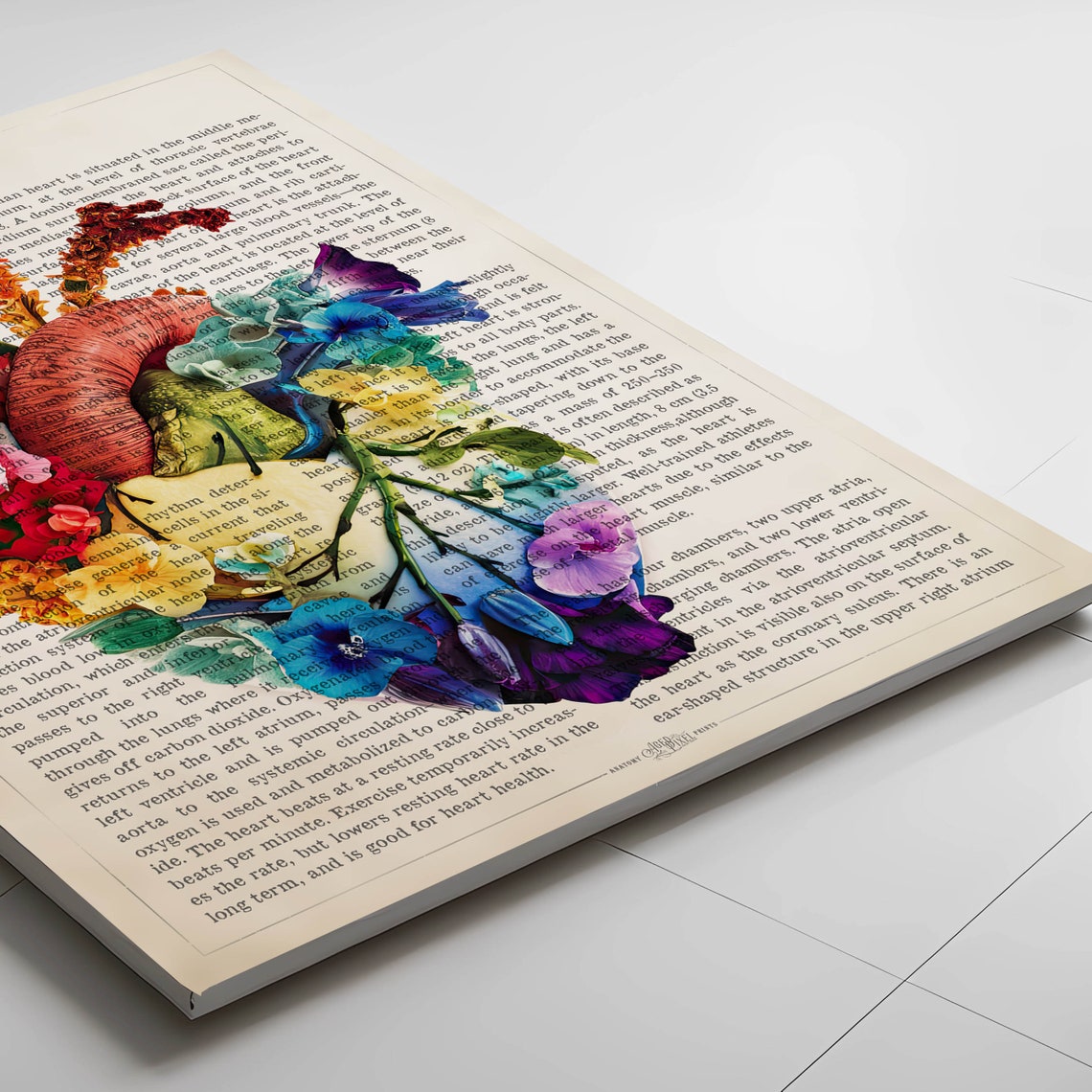 Heart Anatomy Print, Medical Poster, Cardiologist Gift Idea, Cardiology ...