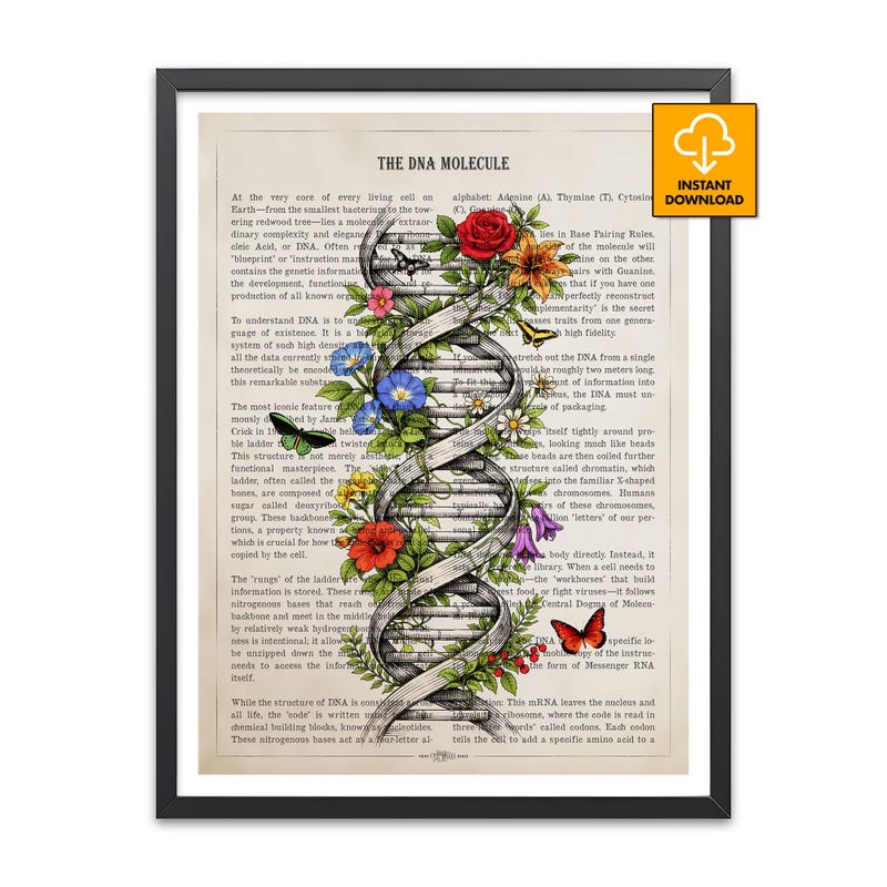 Genetic Wall Decor - Etsy