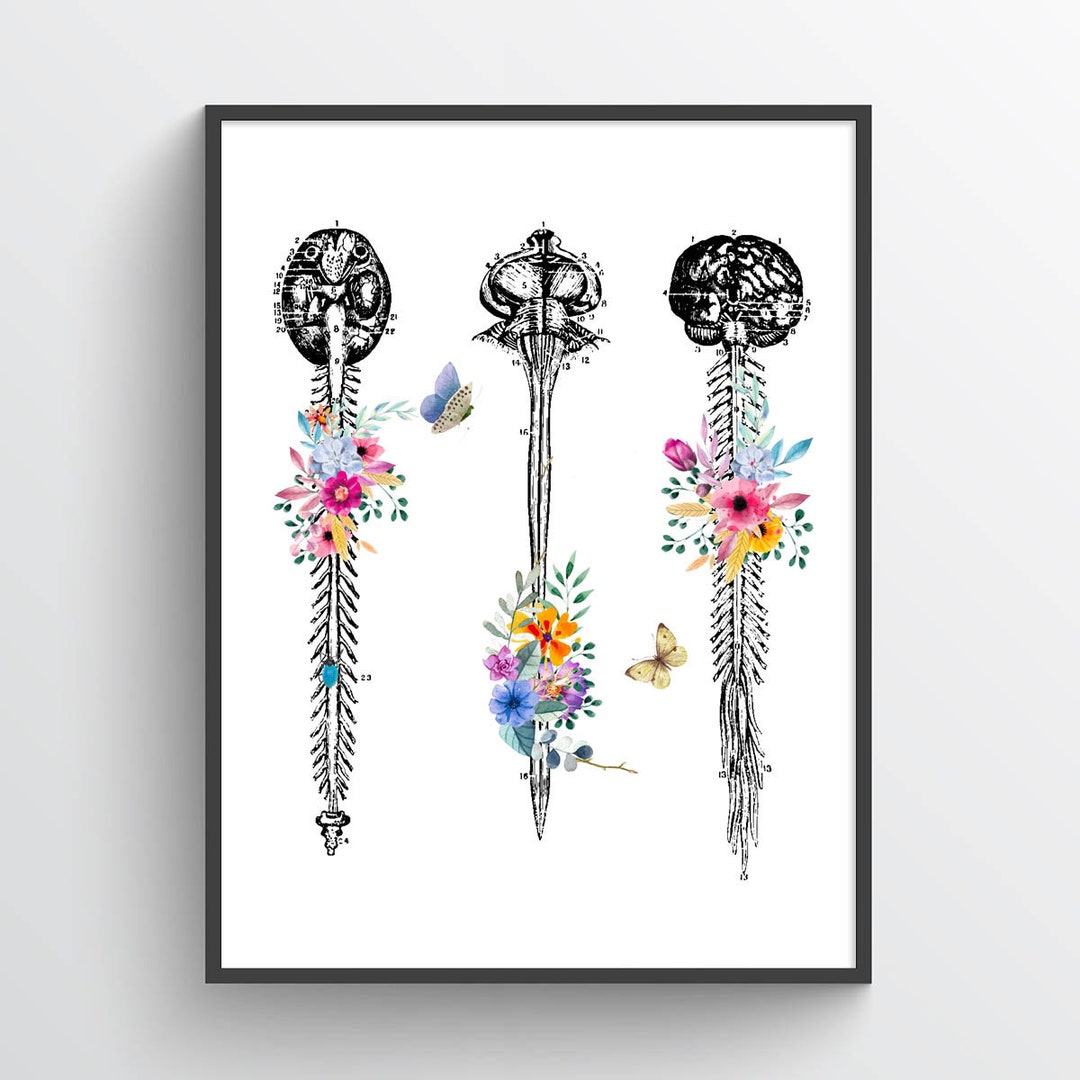 Medulla Spinalis Anatomy Flower Print, Chiropractor Gift Idea ...