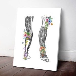 Legs Muscular System Anatomy Flower Print, Massage Therapist ...
