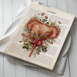 Bladder Anatomy Flower Print, Urinary System Clinic Decor, Gift for ...
