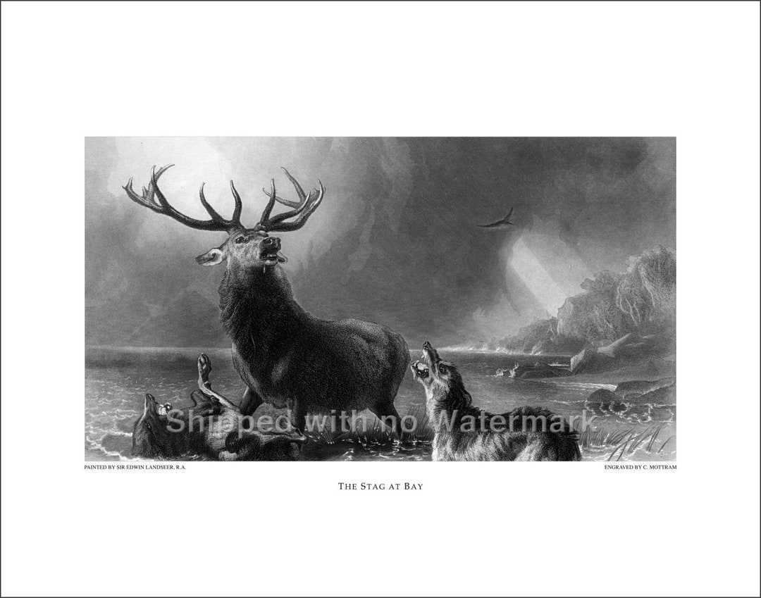 The STAG AT BAY English Engraving Reproduction by Sir Edwin Landseer, R ...