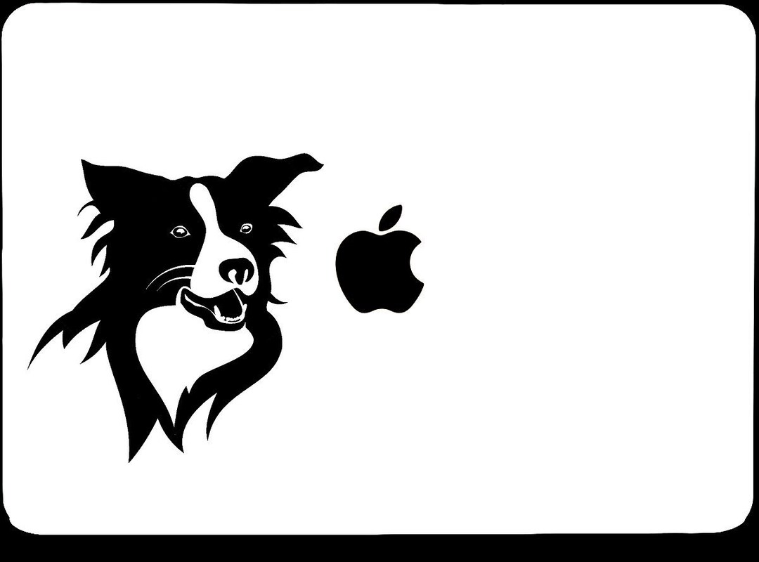 BORDER COLLIE Sticker Decal Car Window MacBook iPad Laptop Water Bottle ...