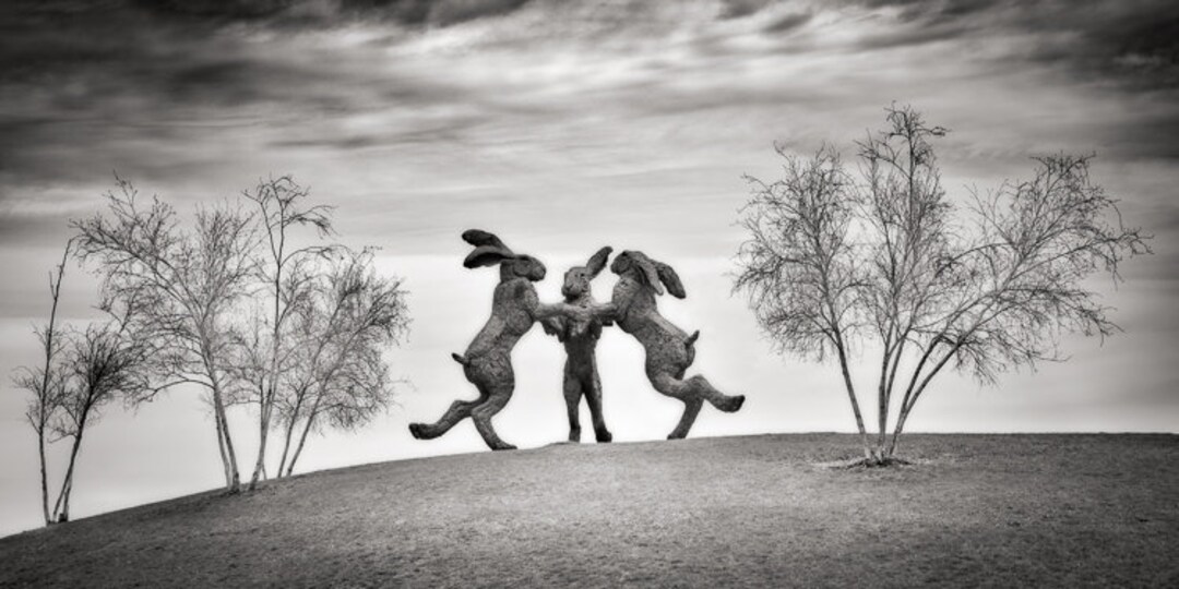 Dancing Hares, Dublin, Ohio - Etsy