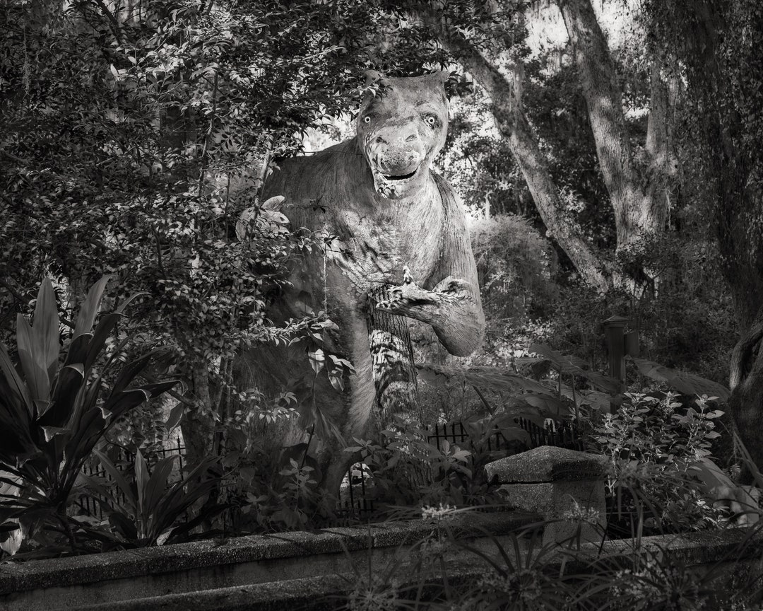 Giant Ground Sloth, Bongoland Ruins, Port Orange, Florida - Etsy