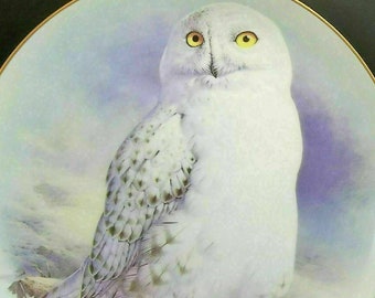 Owl Collector Plate | Etsy