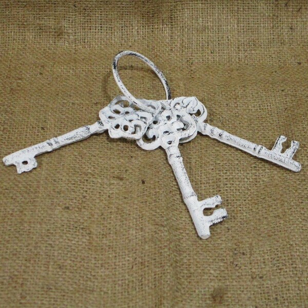 Iron Skeleton Key - Etsy