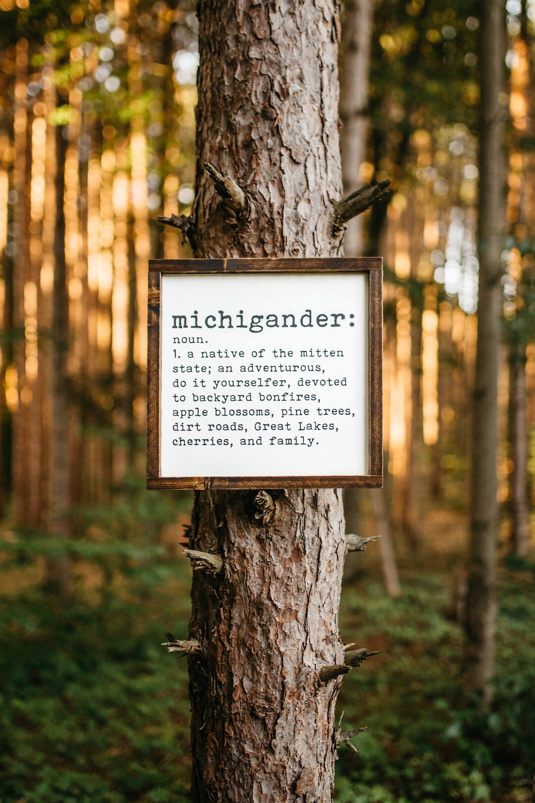 Michigan Wood Sign | Hand Painted Framed Sign | Definition of a ...