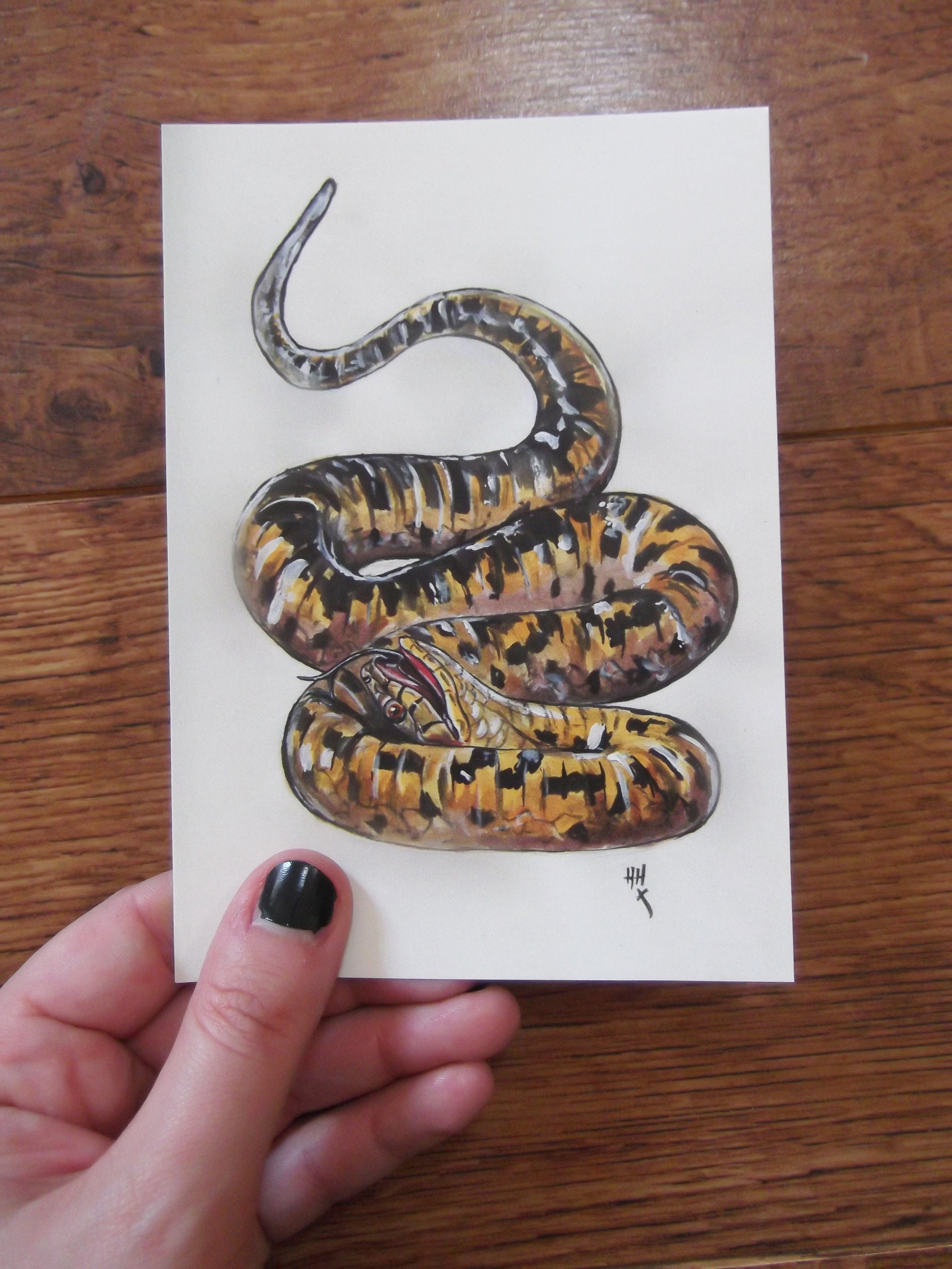 Grass Snake Postcard Snakes Original Illustrations - Etsy UK