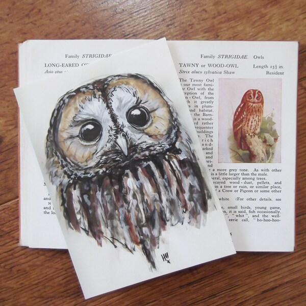 Owl Postcard - Etsy