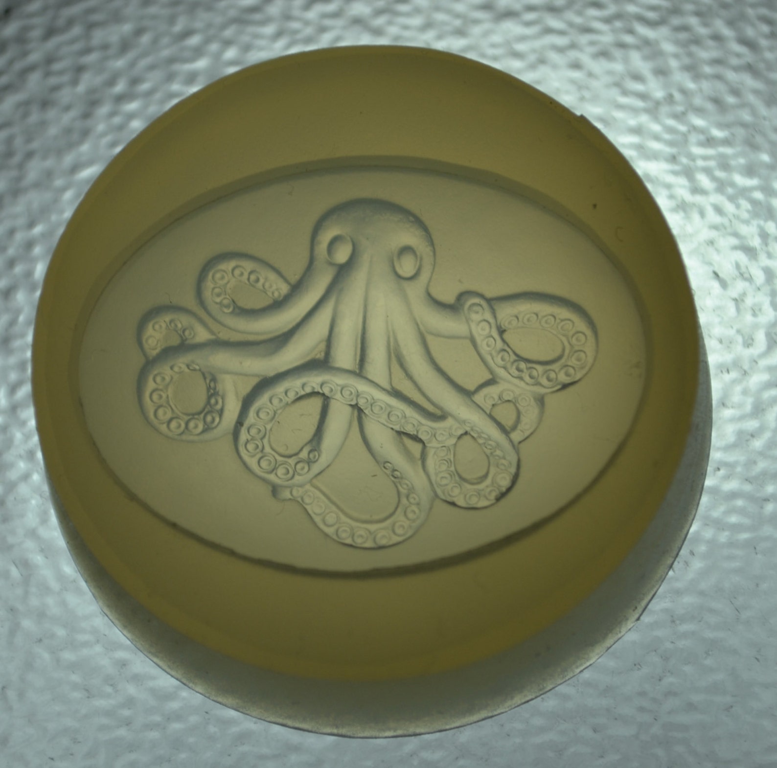 OCTOPUS SILICONE MOLD Cameo Fondant Icing Resin Fimo Polymer - Etsy