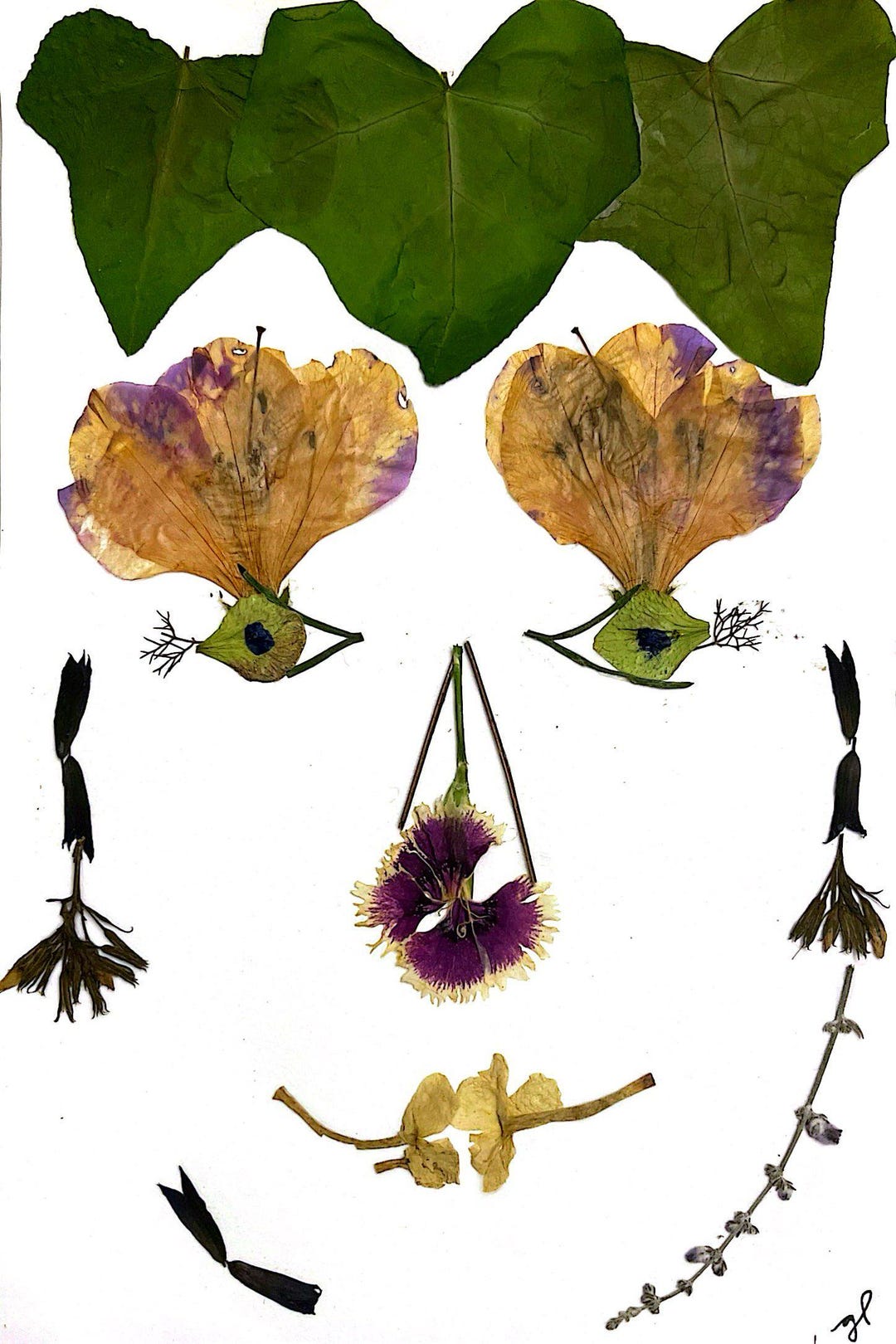 Digital Print of Pressed Flower Art, "fortuna" Portrait Made From ...