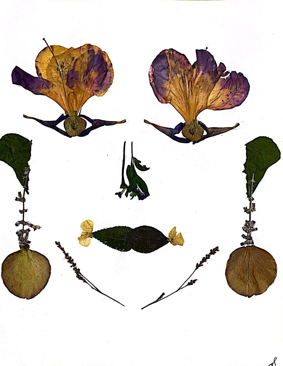 Printable Digital Download of Pressed Flower Art, "persephone" Portrait ...