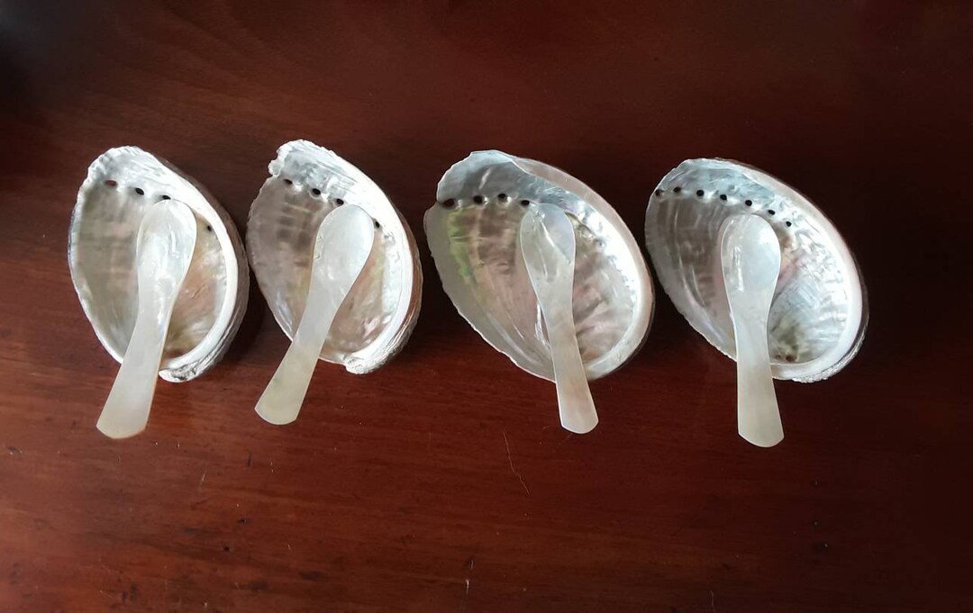 Caviar Service Four Abalone Shell Caviar Dishes and Shell Spoons French ...