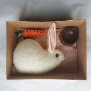 Rabbit in a Box - Etsy